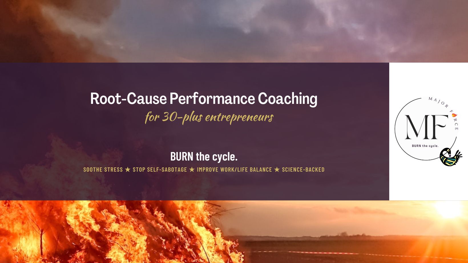 Major Force » Root-Cause Performance Coaching